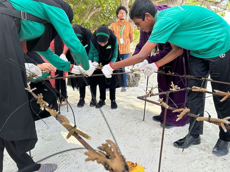 Constance Moofushi Maldives Resort Coral Restoration Project — Green Globe
