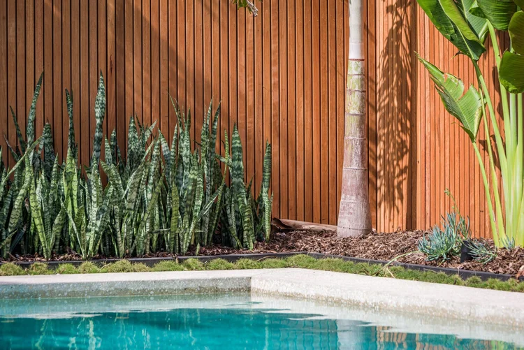 Landscaping — Landscapers Sunshine Coast | Earth Design Landscaping