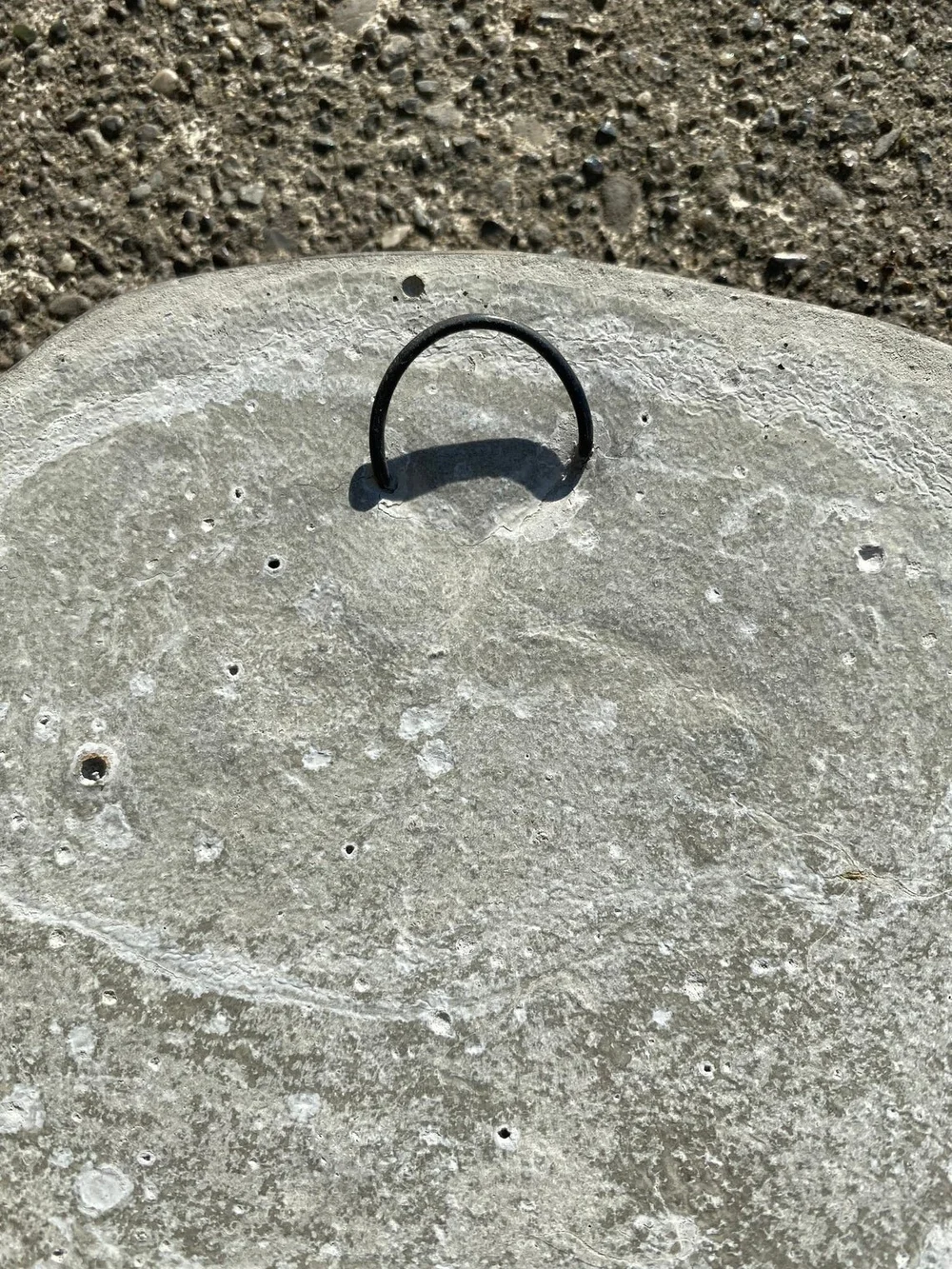 Chinese Whole Zodiac Stepping Stone | Backyard Stone Art