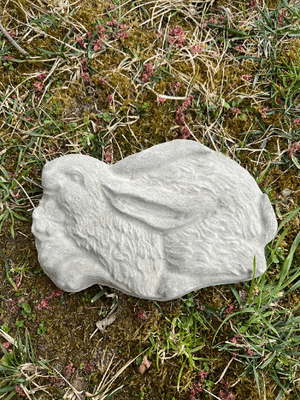 Realistic Turtle Concrete Stepping Stone | Backyard Stone Art