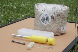 Growing Mushrooms on Logs — Midway Mushrooms