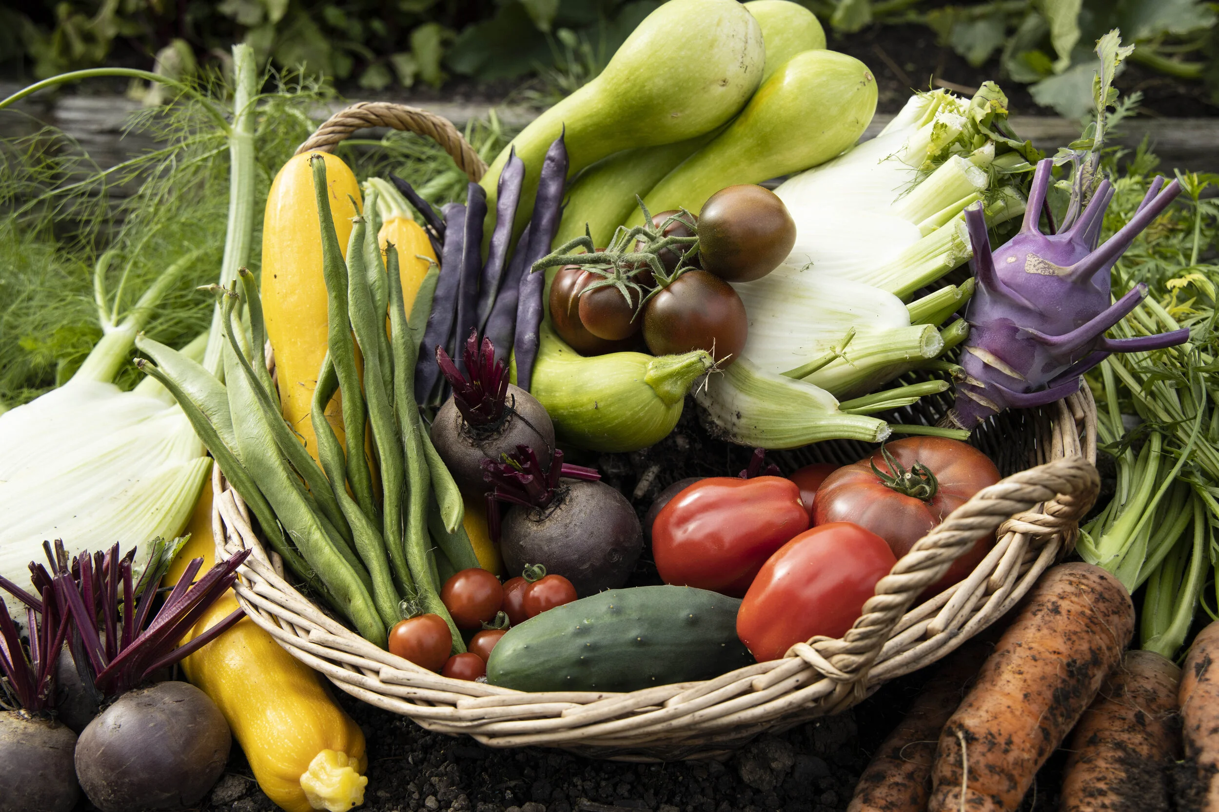 Grow Foods Pictures Only