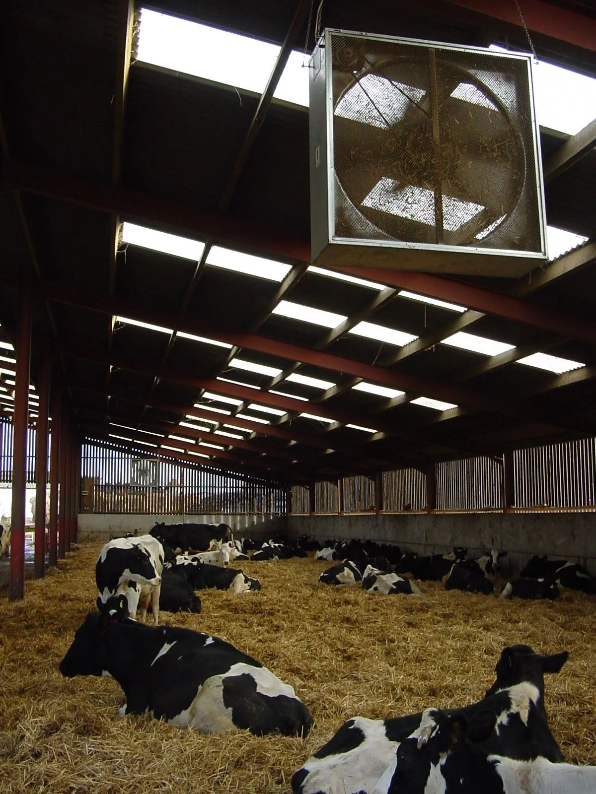Livestock Ventilation / Tube Systems — Agrivent Ltd | Ventilation for ...
