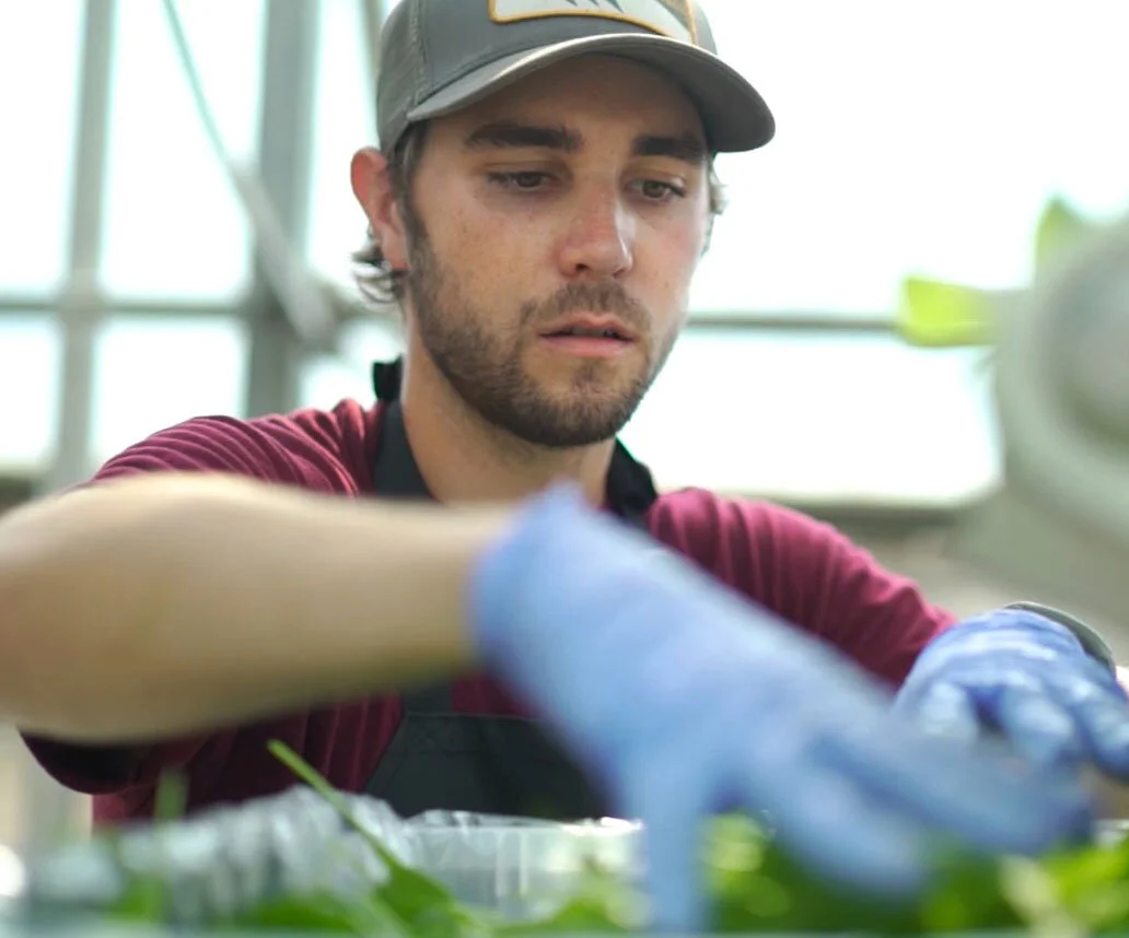 How We Grow — Element Farms