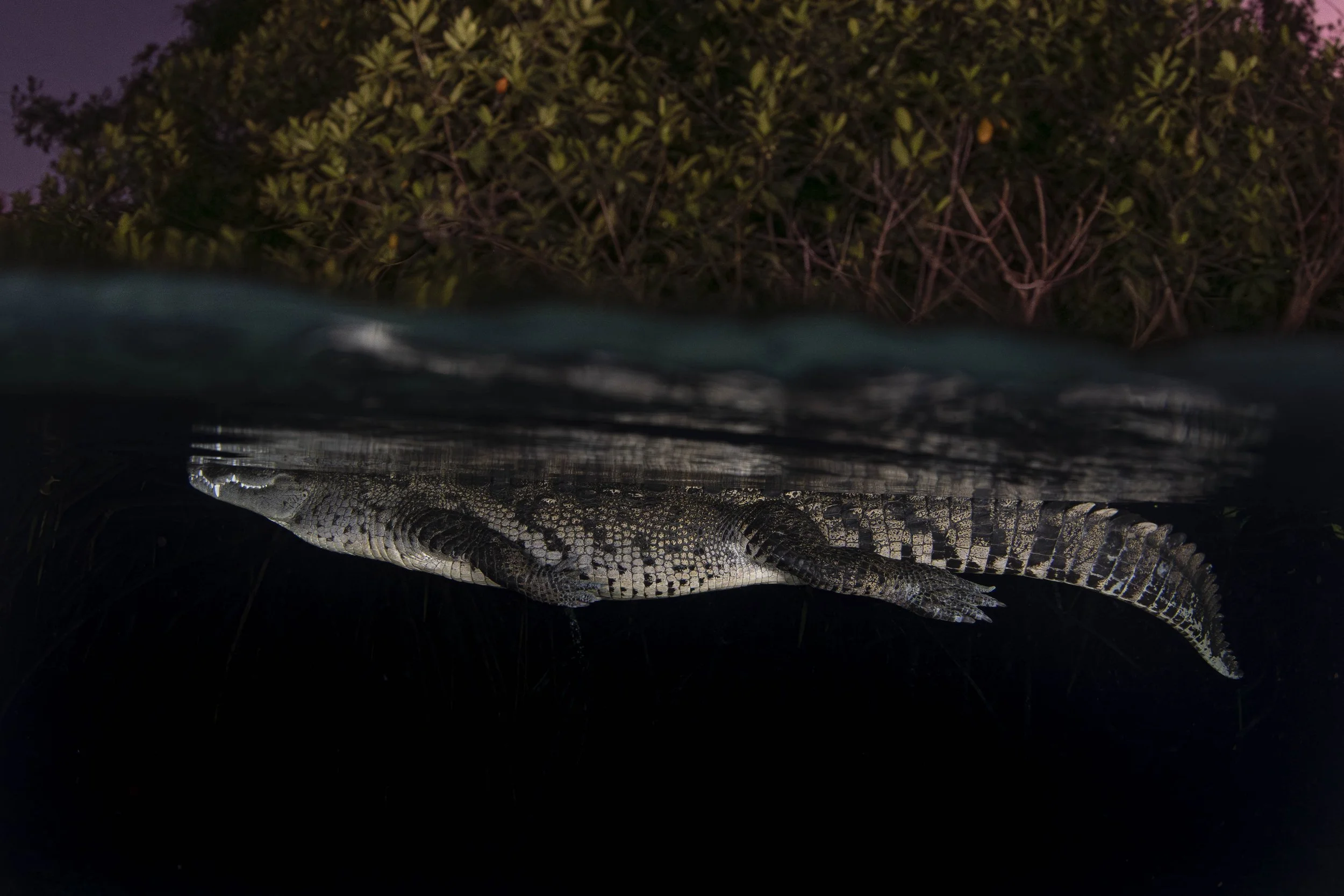 How to Shoot Over-Under Photos: Underwater Split Shot Photography Guide ...