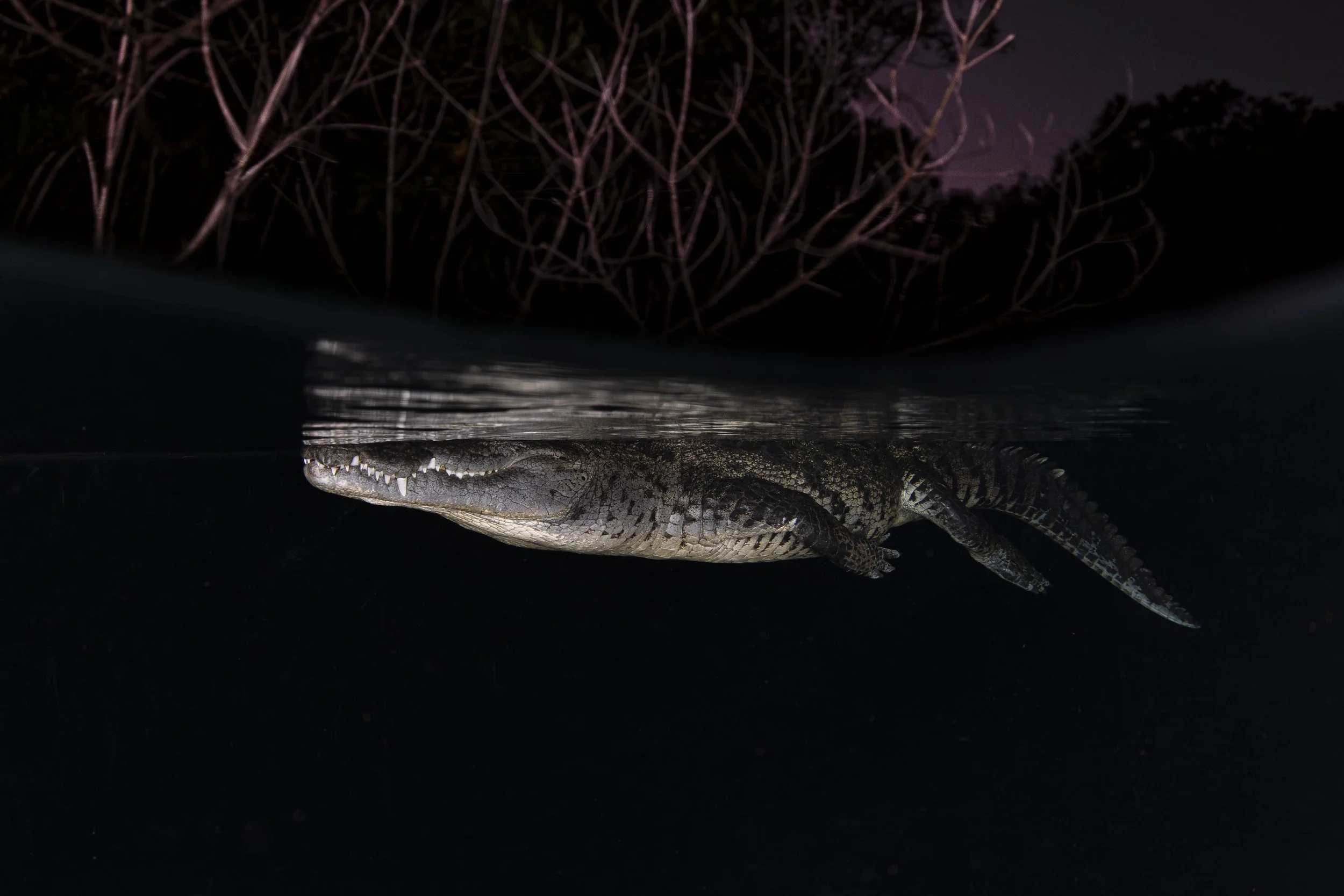 How to Shoot Over-Under Photos: Underwater Split Shot Photography Guide ...