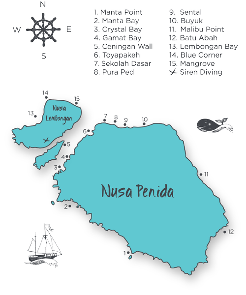 Diving in Nusa Penida & Lembongan: Full Guide — Balazs Fodor Photography