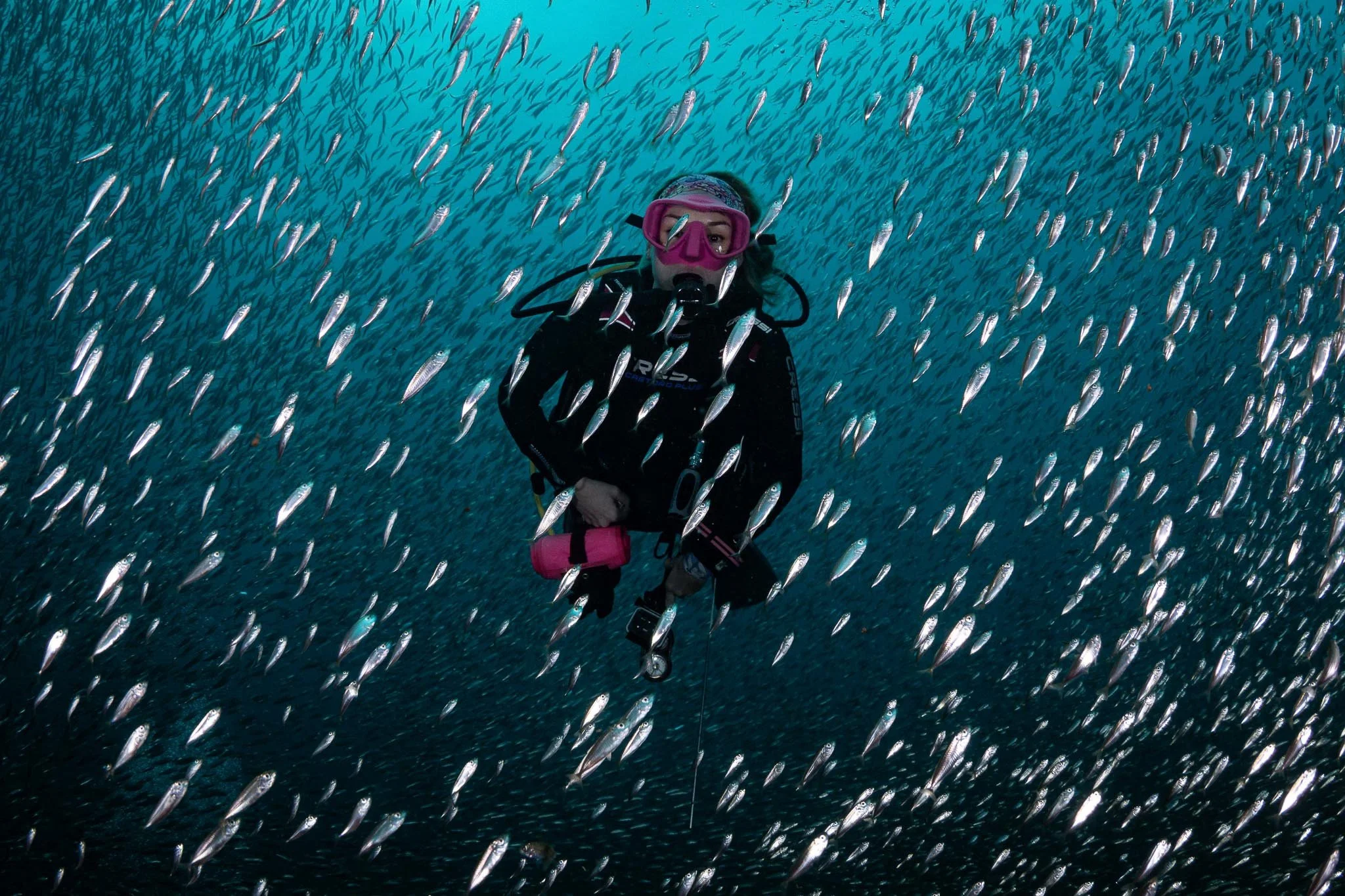Top 25 Scuba Diving Tips For Beginners — Balazs Fodor Photography