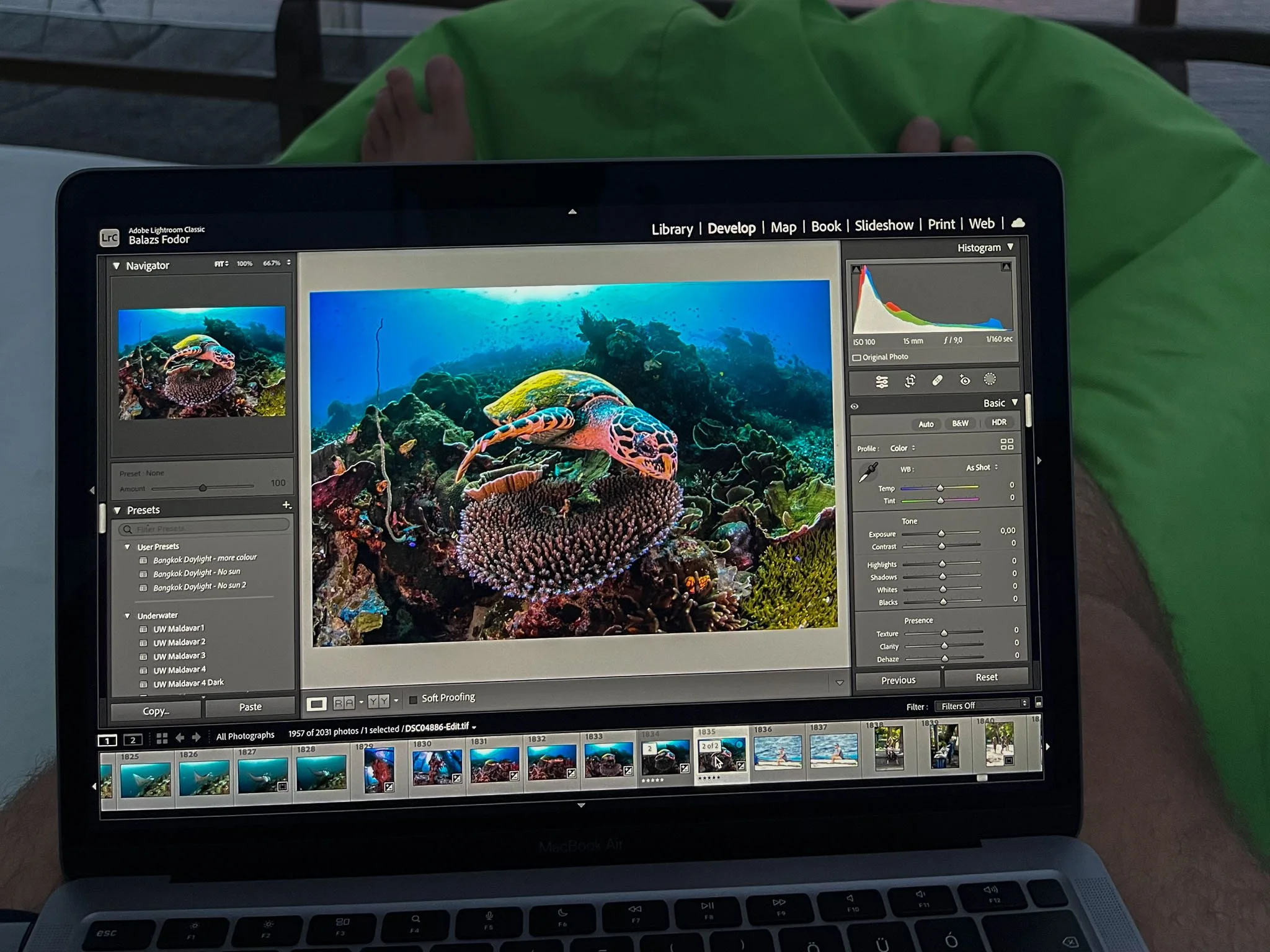 A Complete Guide To Underwater Photography — Balazs Fodor Photography