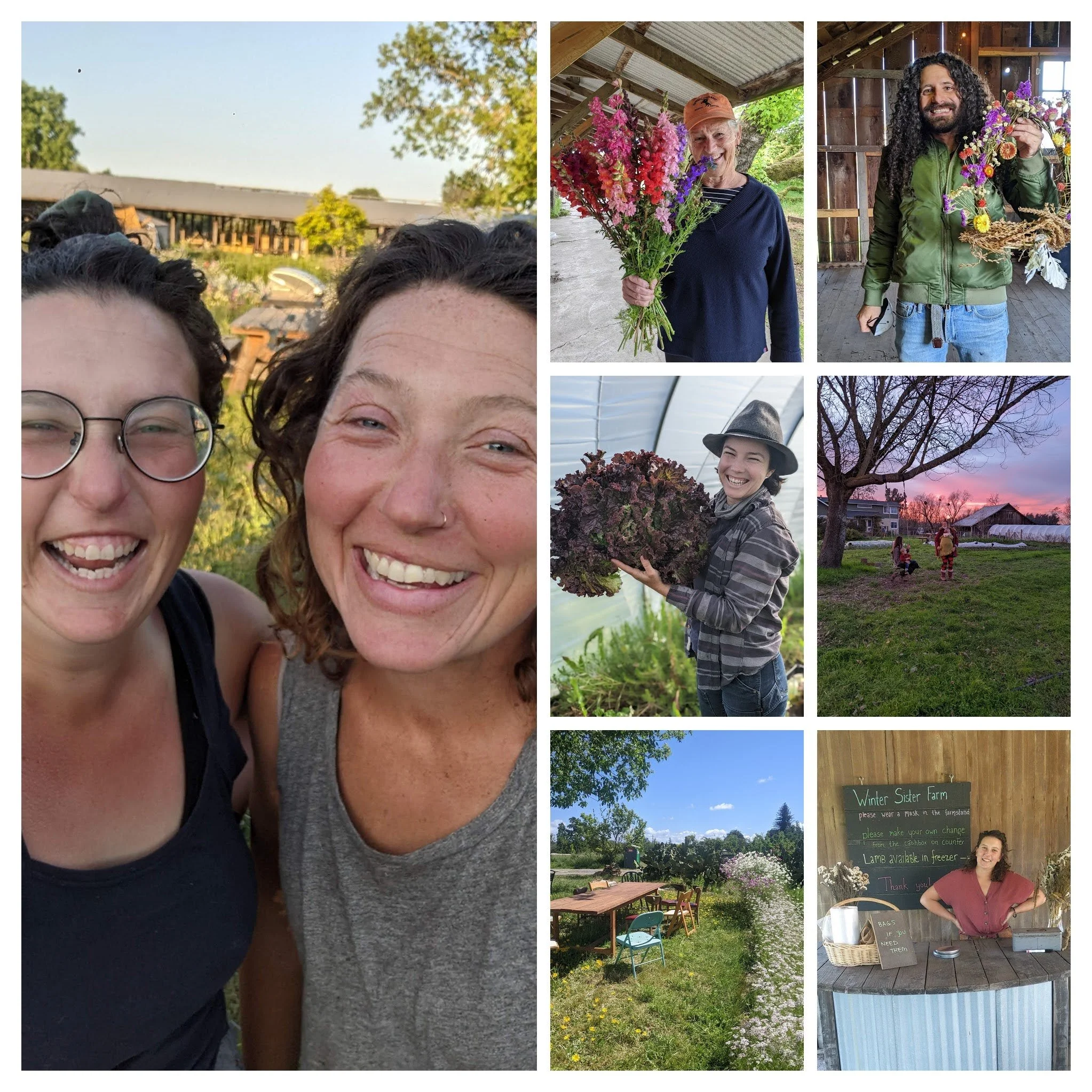 CSA Details — Winter Sister Farm