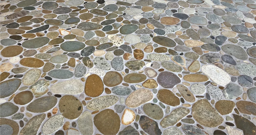 Exotics — Toemi Island Rock