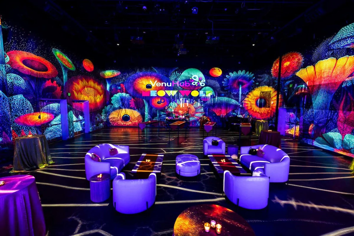 Photography for Meow Wolf Denver — TruBlu Images