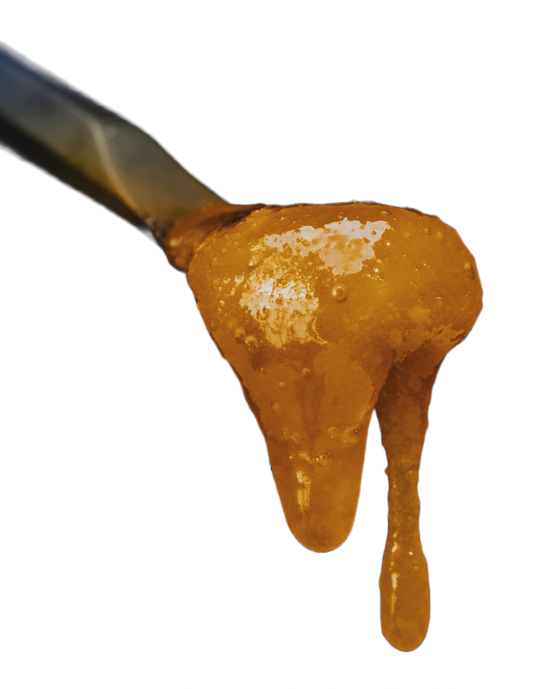 Fresh Coast - Fresh Coast Extract's homepage