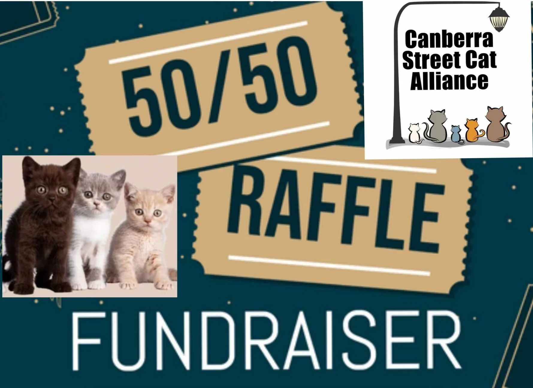 Store 1 — Canberra Street Cat Alliance
