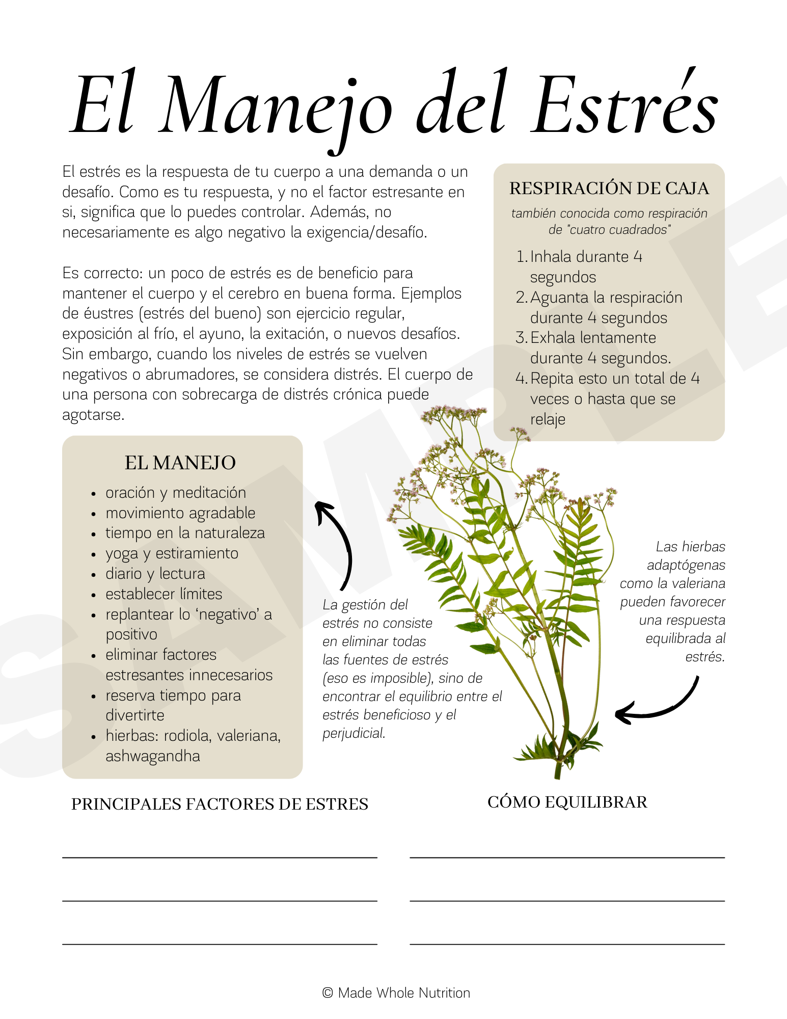 El Manejo del Estrés — Functional Health Research + Resources — Made ...