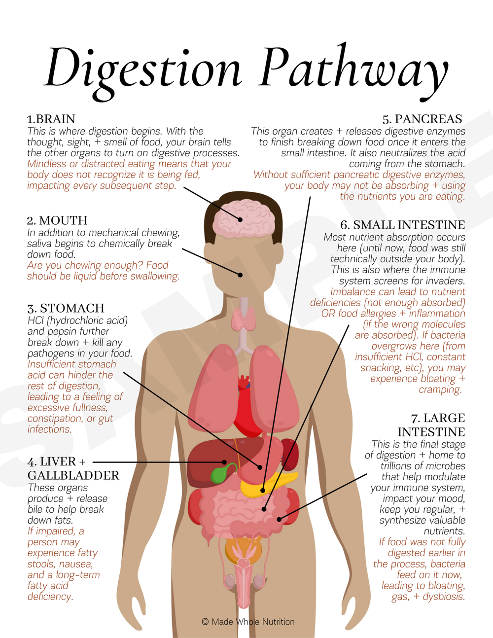Low-Fructose Foods Handout — Functional Health Research + Resources ...