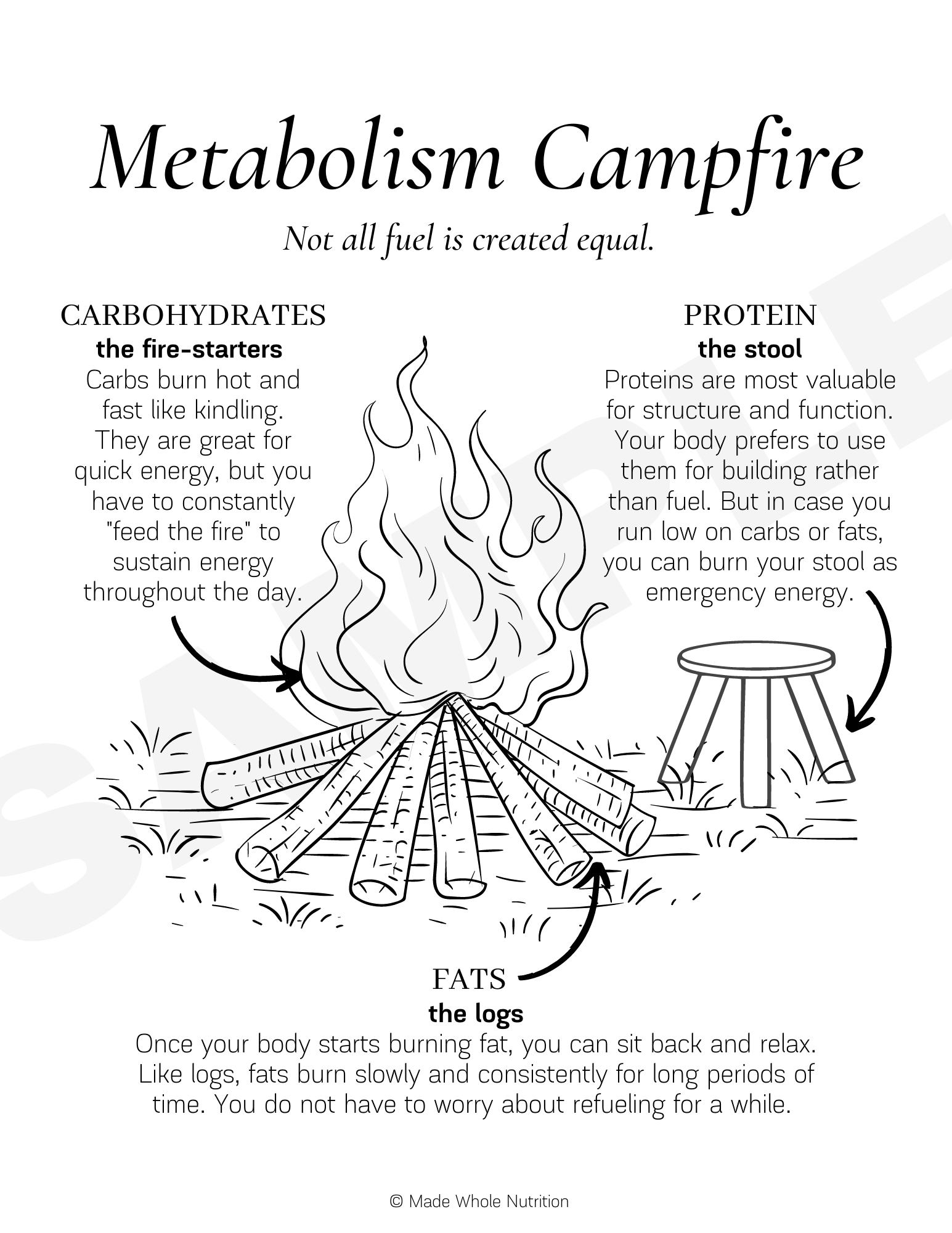 Macronutrients Handout — Functional Health Research + Resources — Made ...