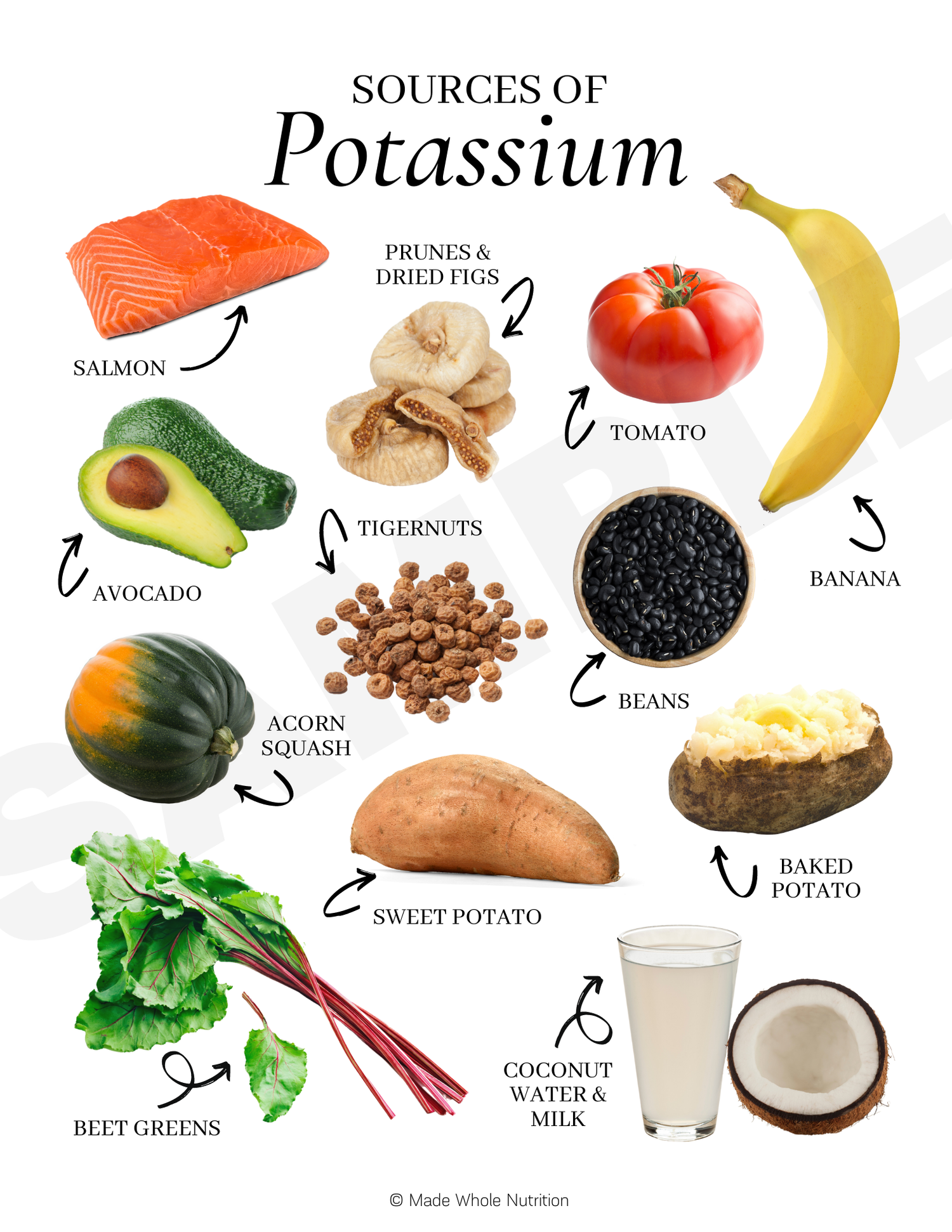 Foods to Support Kidney Health Handout — Functional Health Research ...