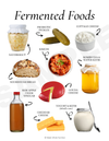 Digestive Health (handout bundle) — Functional Health Research ...