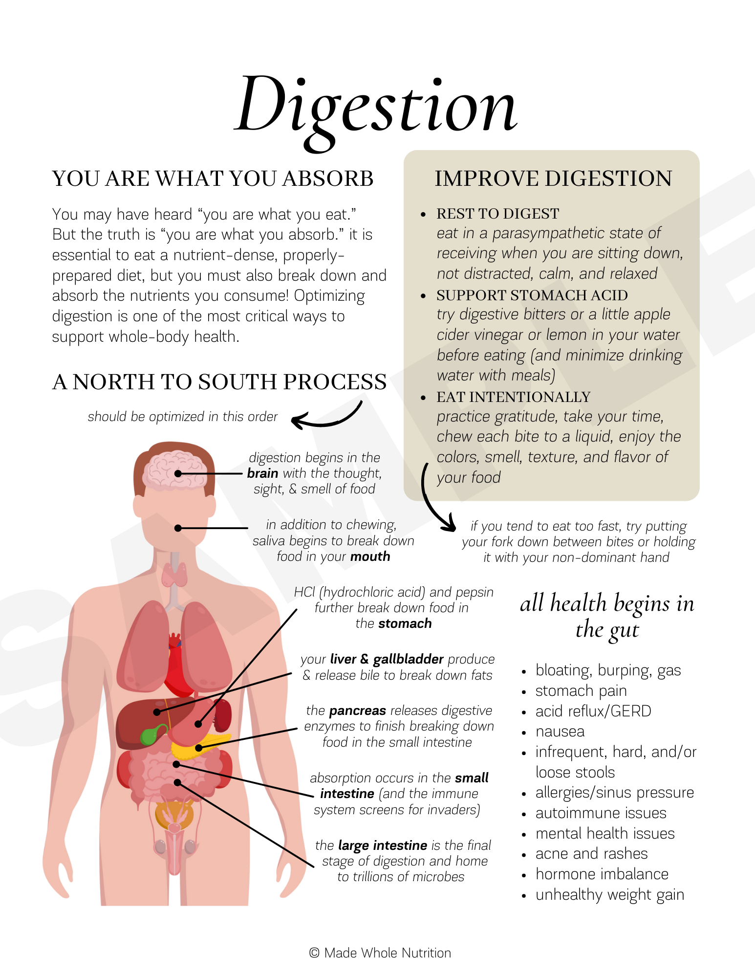 Foundations of Health (handout bundle) — Functional Health Research ...