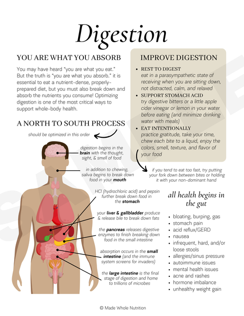 Genetically Engineered Food Handout — Functional Health Research ...
