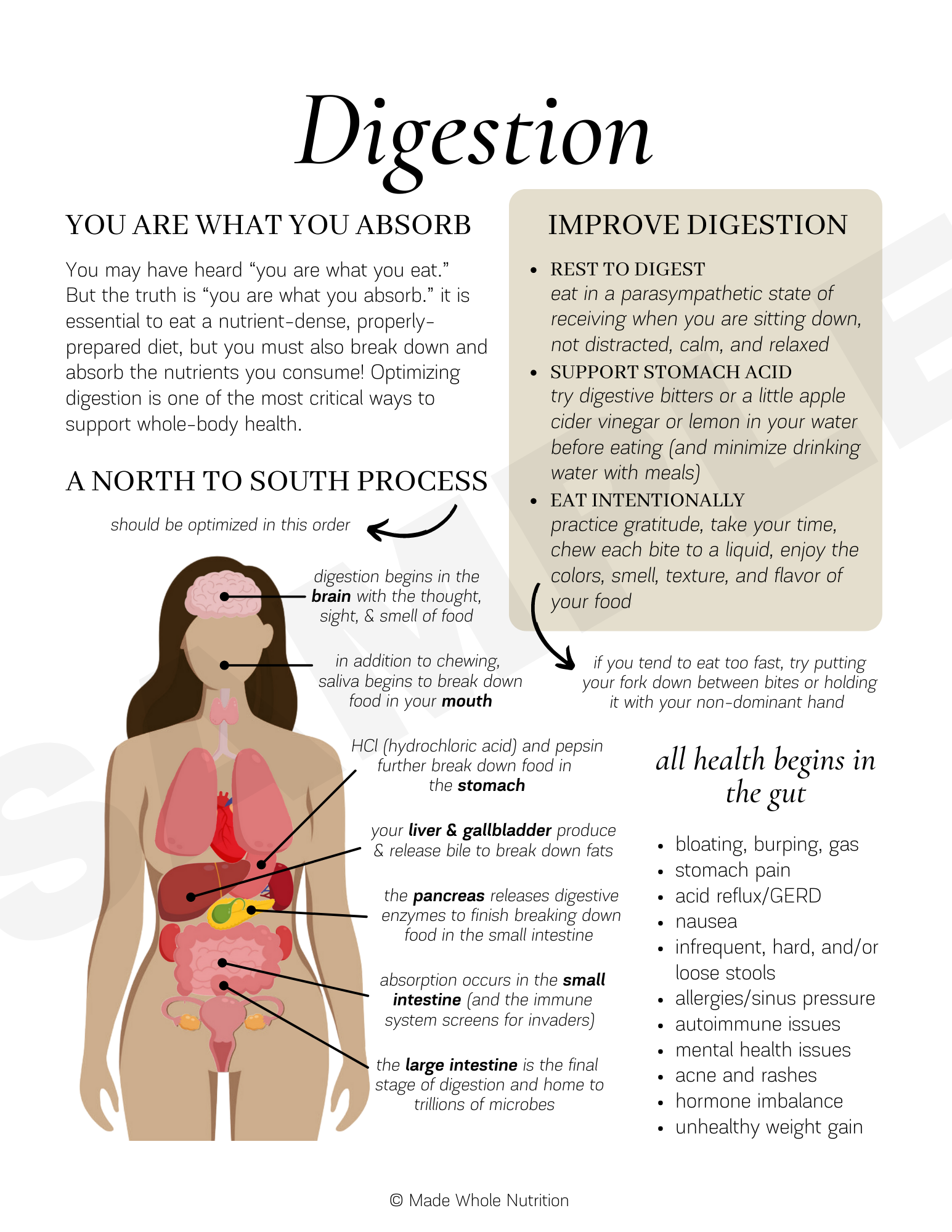 Foundations of Health (handout bundle) — Functional Health Research ...