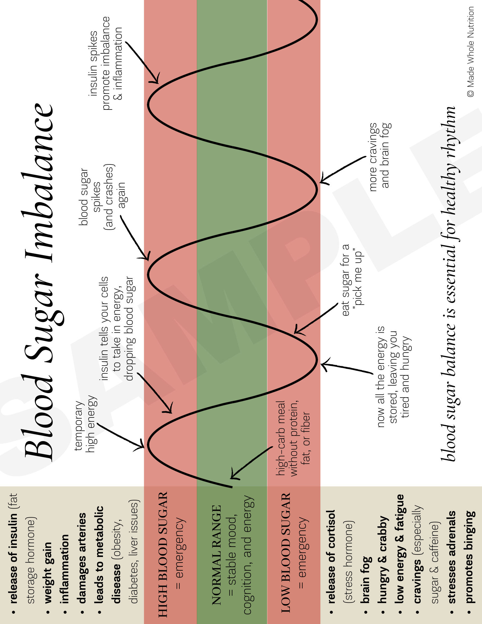 Intestinal Hyperpermeability Handout — Functional Health Research ...