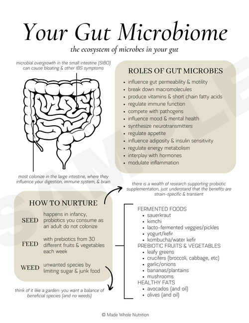 Microbiome Health 3 (handout bundle) — Functional Health Research ...