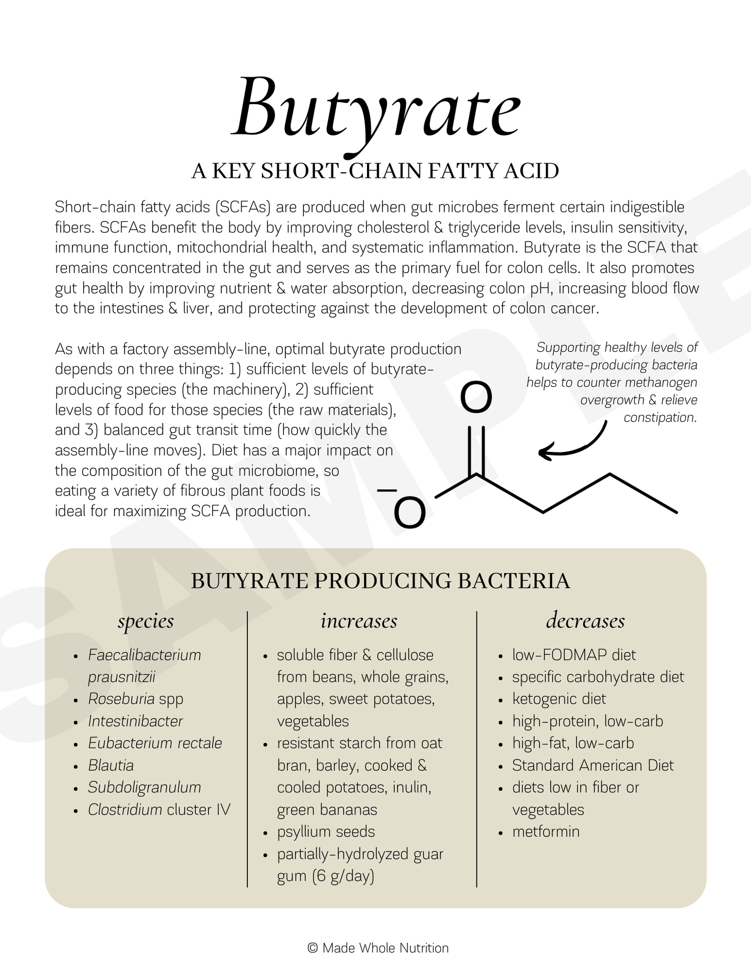 Helicobacter pylori 101 Handout — Functional Health Research ...