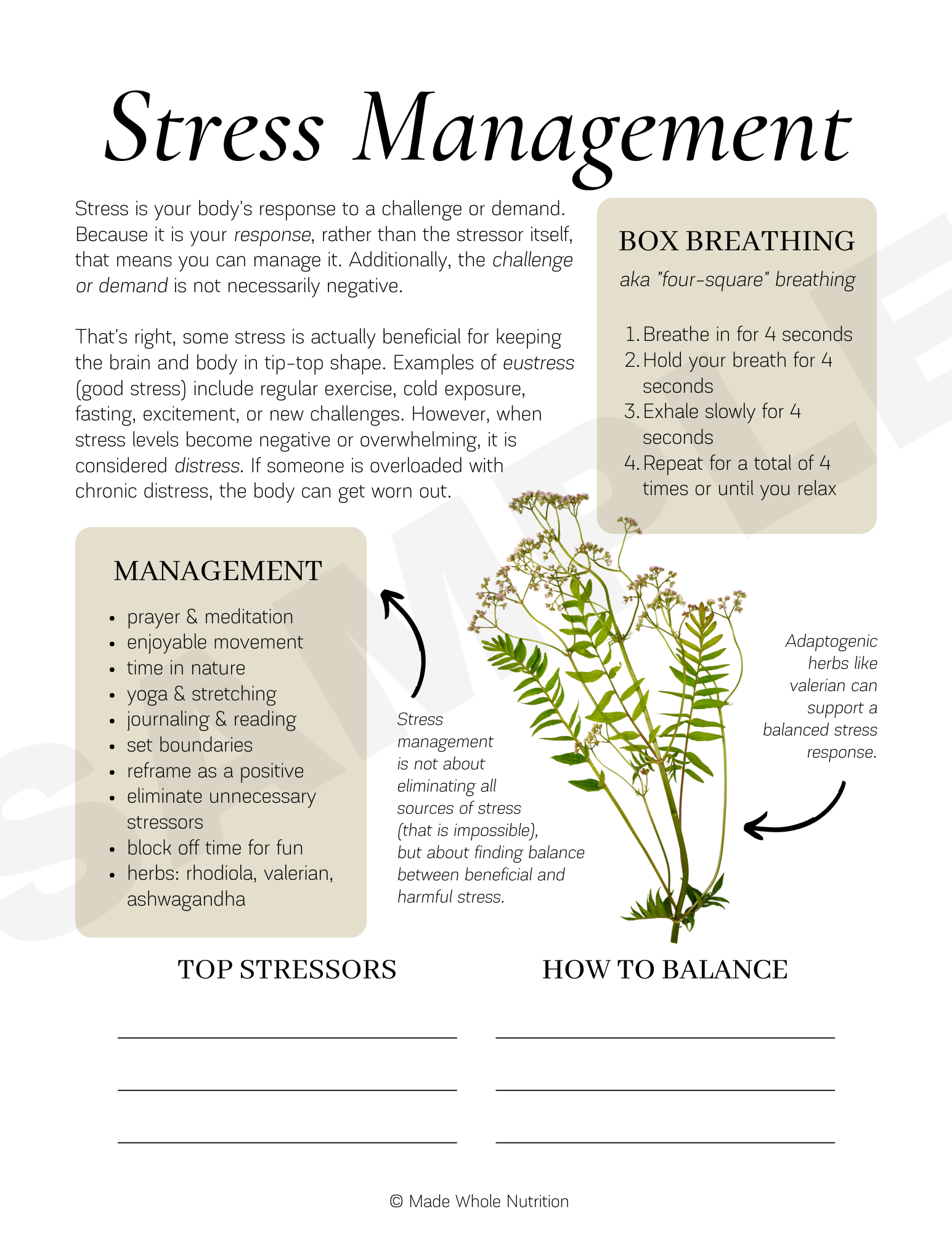 Stages Of Change Handout Functional Health Research Resources