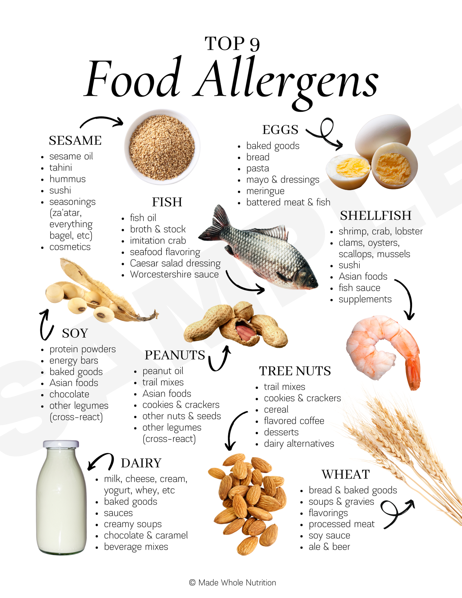 Common Food Additives Handout — Functional Health Research + Resources ...