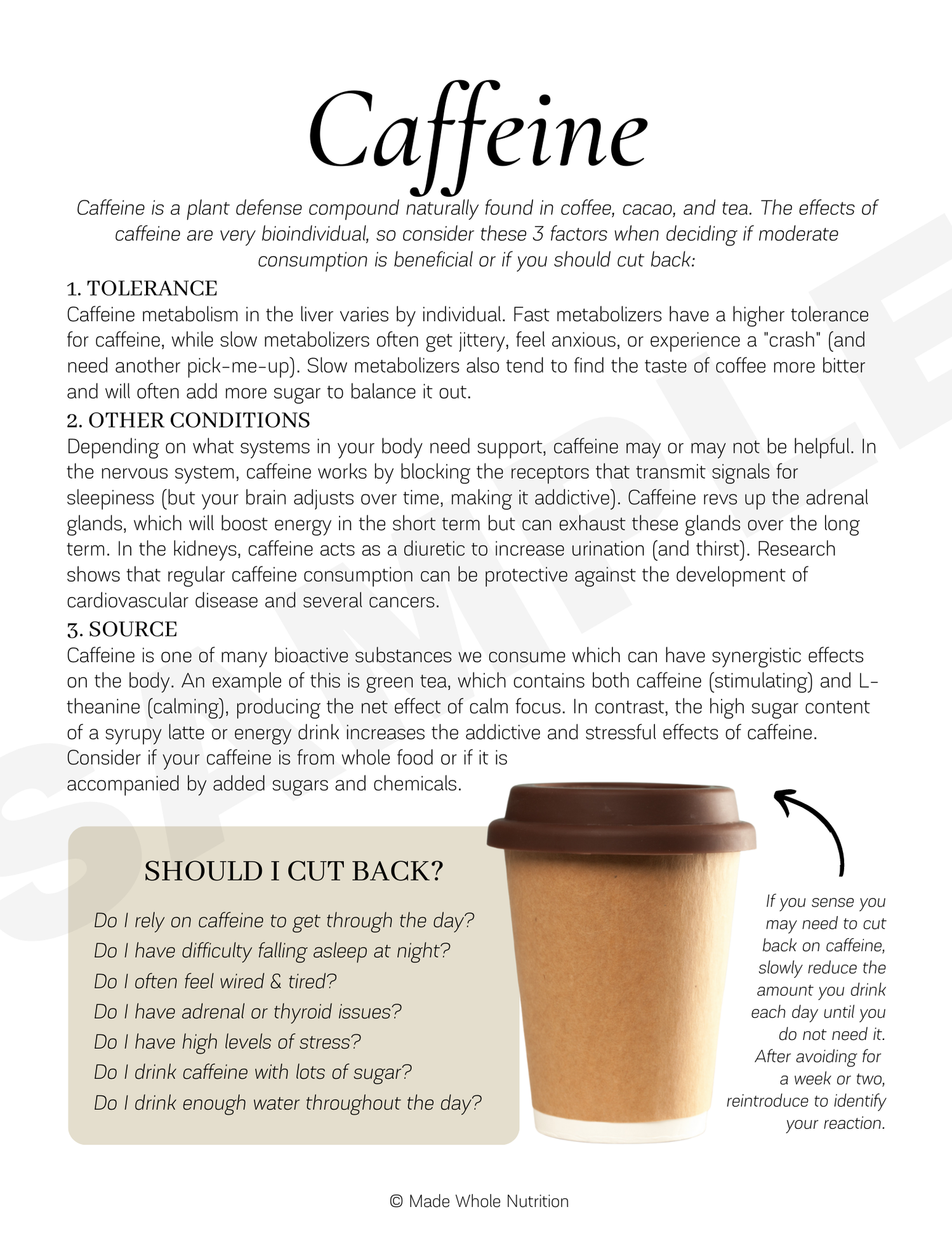 Detox 101 Handout — Functional Health Research + Resources — Made Whole ...