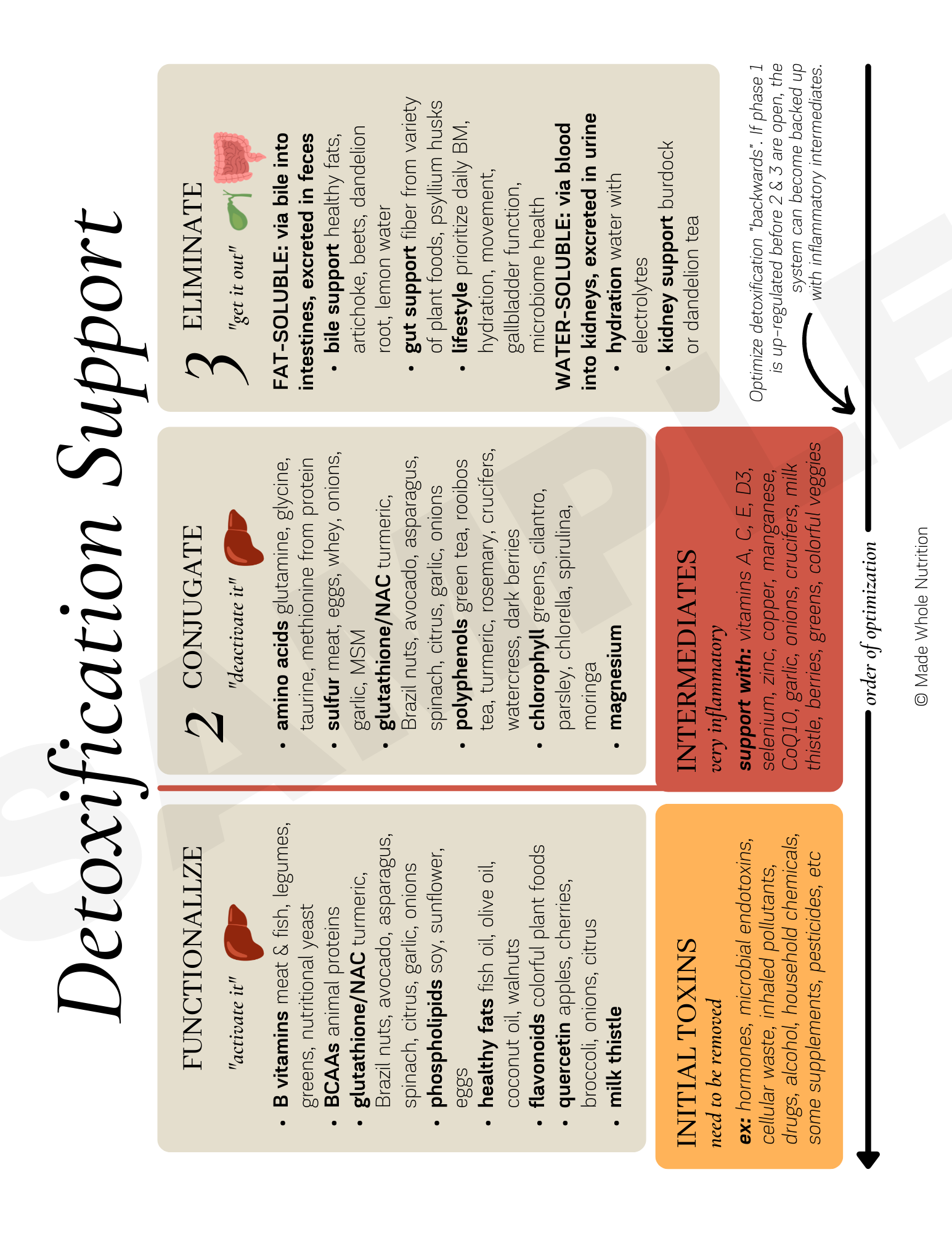 Major Mineral Guide — Made Whole Nutrition — Functional Health Research ...