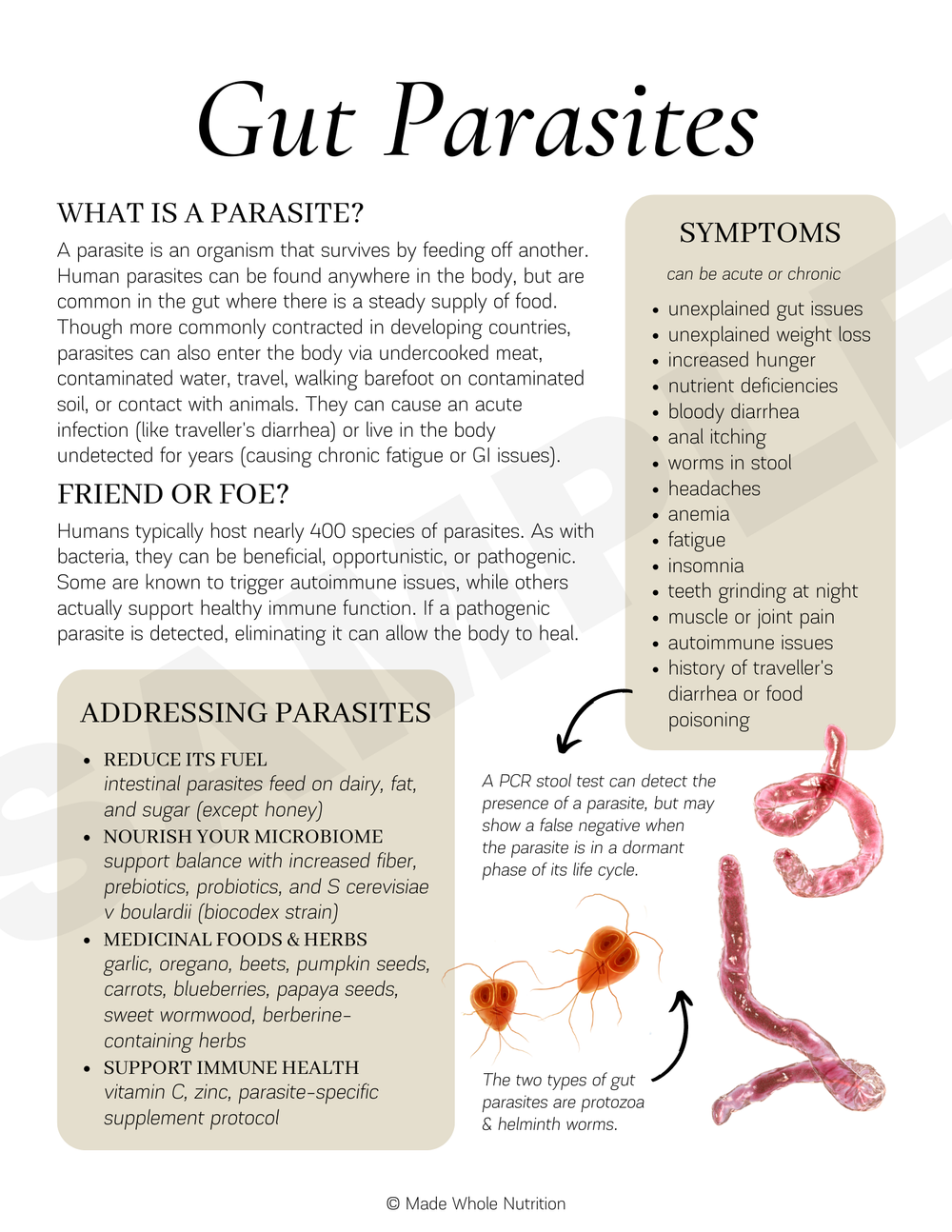 Anti-Candida Meal Blueprint Handout — Functional Health Research ...