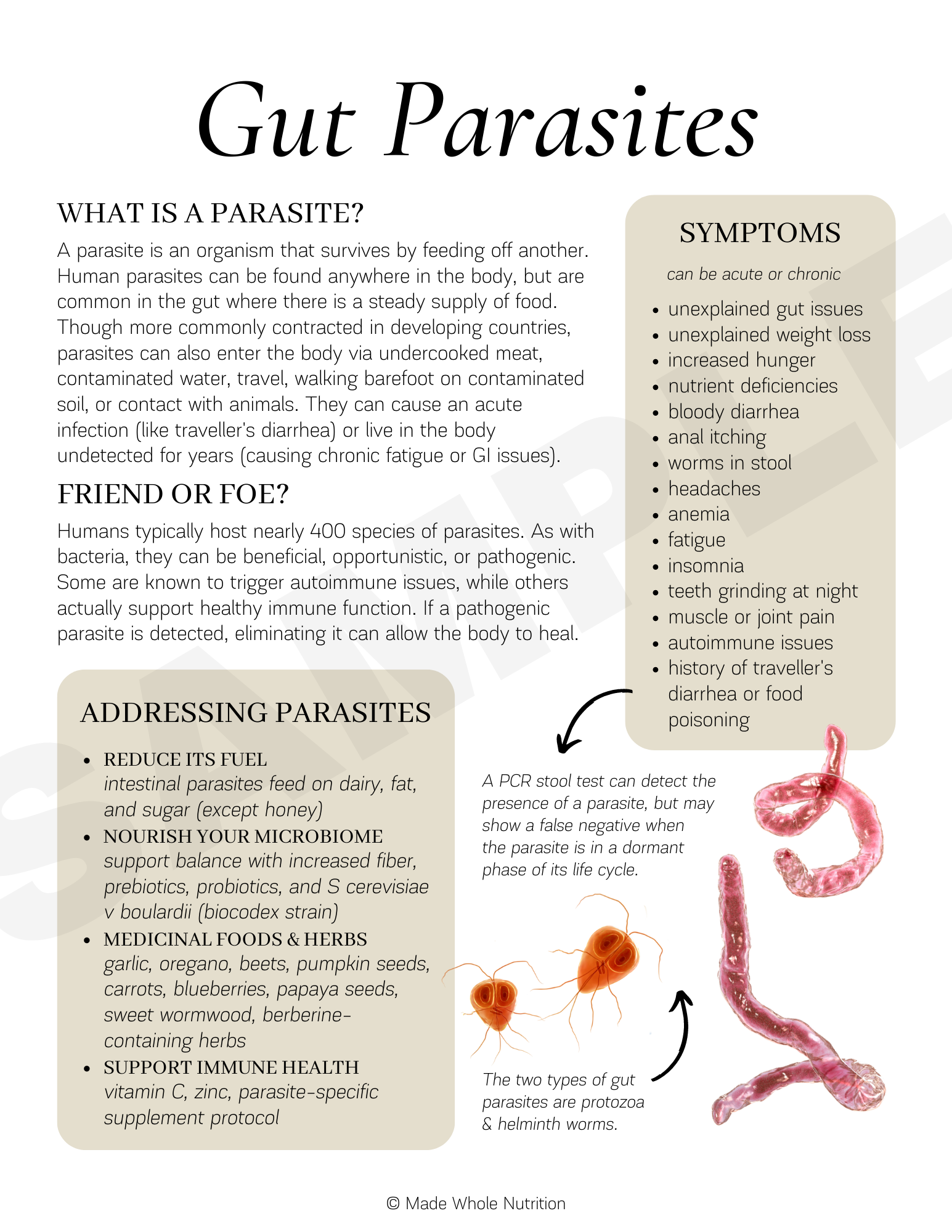 Microbiome Health 3 (handout bundle) — Functional Health Research ...