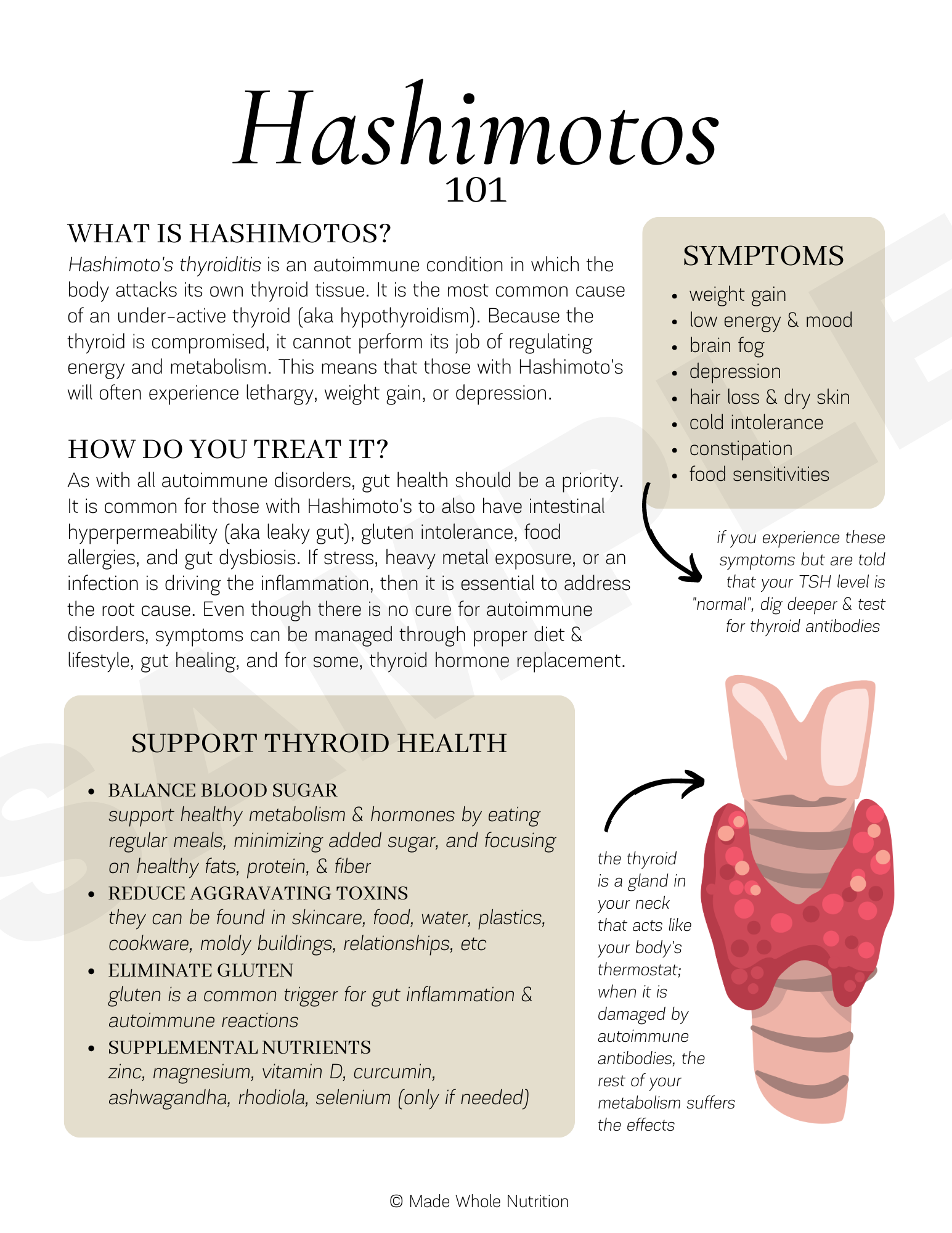 Seed Cycling Handout — Customizable Nutrition Education Materials ...