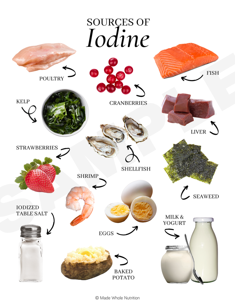 Hormone Hierarchy Handout — Functional Health Research + Resources ...