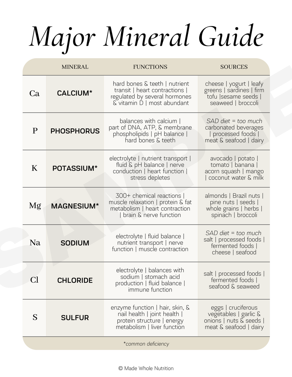 Sources of B Vitamins — Functional Health Research + Resources — Made ...