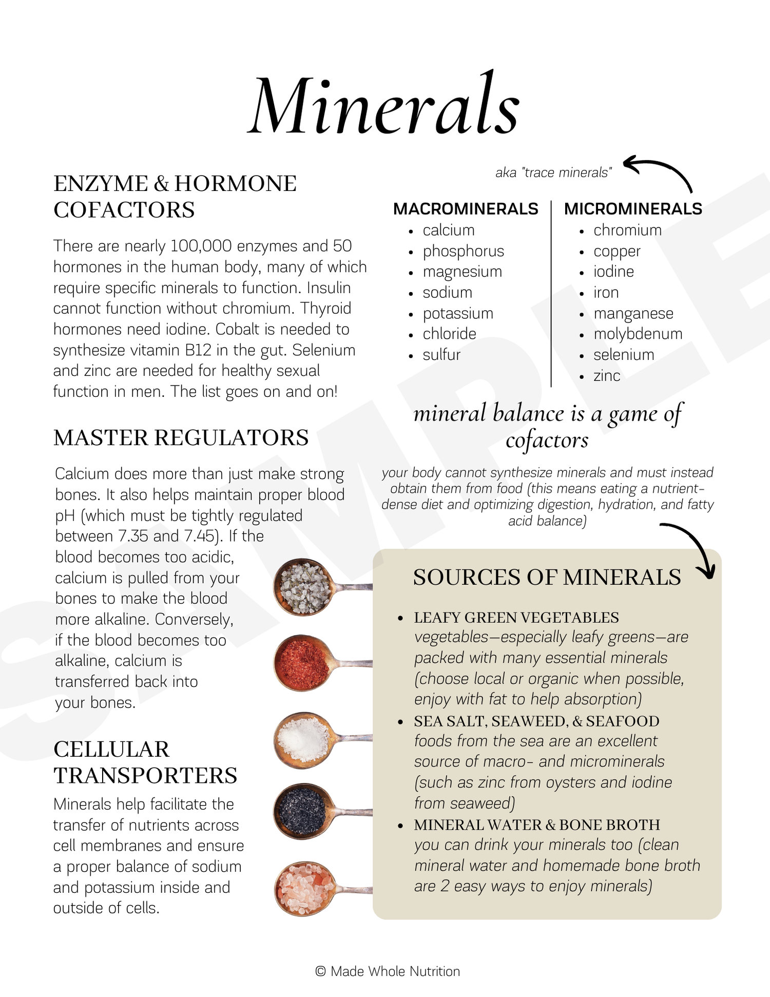 Minerals Foundation Handout — Functional Health Research + Resources ...