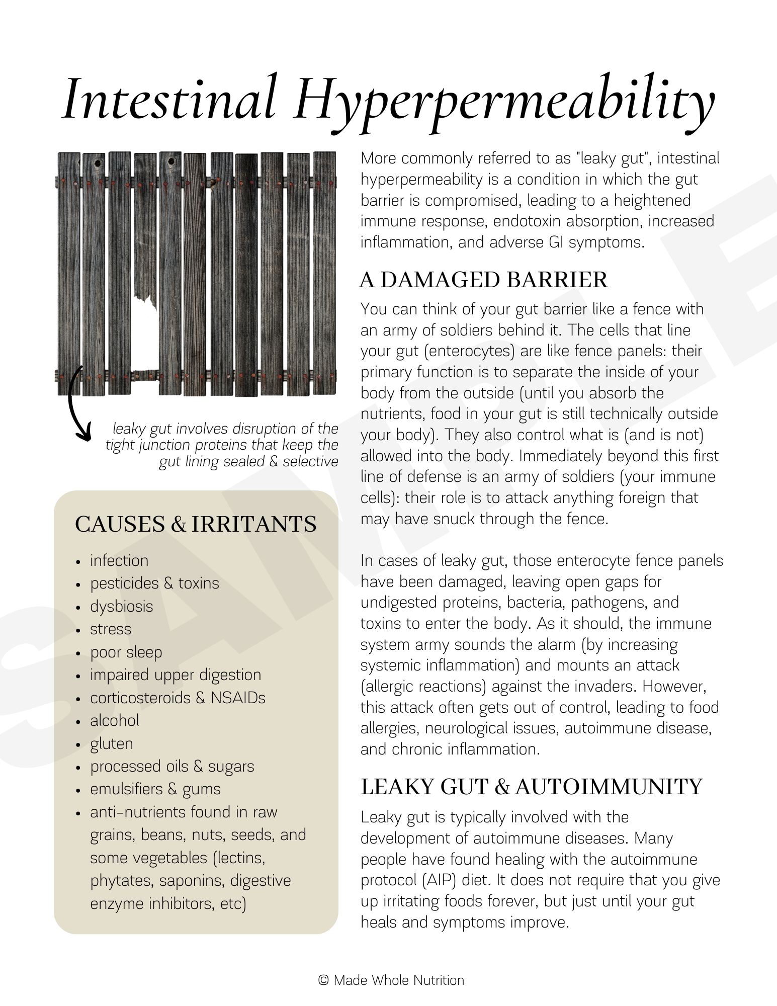 Hashimoto's Thyroiditis 101 Handout — Functional Health Research ...