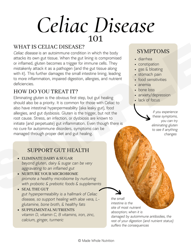 Hashimoto's Thyroiditis 101 Handout — Functional Health Research ...