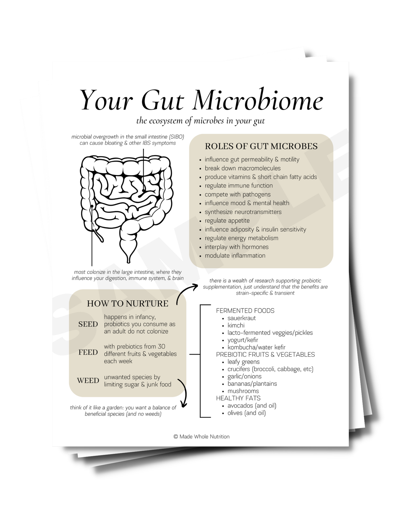 Most Popular (handout bundle) — Functional Health Research + Resources ...