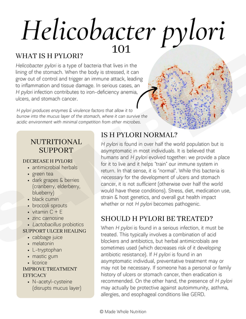 Macro Basics (handout bundle) — Functional Health Research + Resources ...