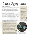 Yeast Overgrowth 101 Handout — Functional Health Research + Resources ...