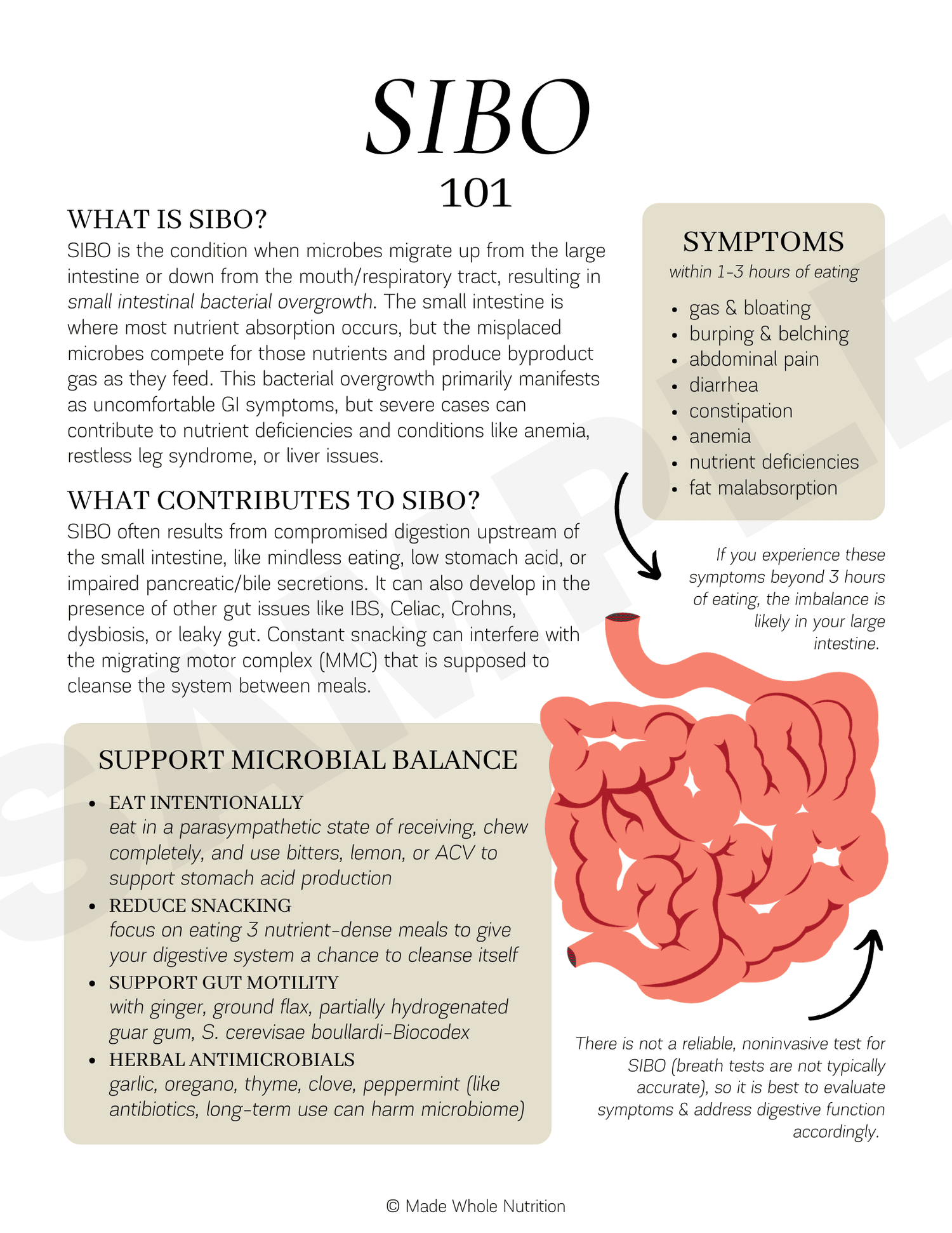 Constipation Handout — Functional Health Research + Resources — Made ...