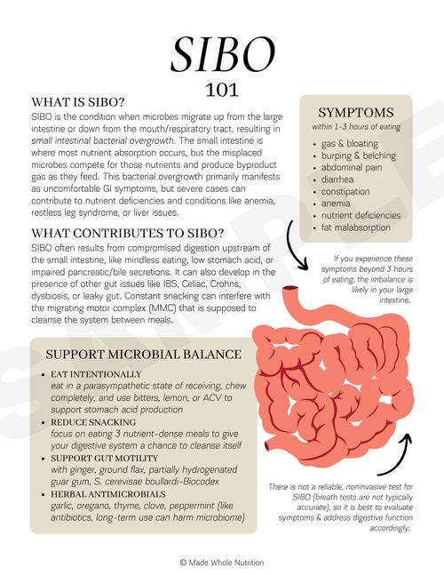 Constipation Handout — Functional Health Research + Resources — Made ...