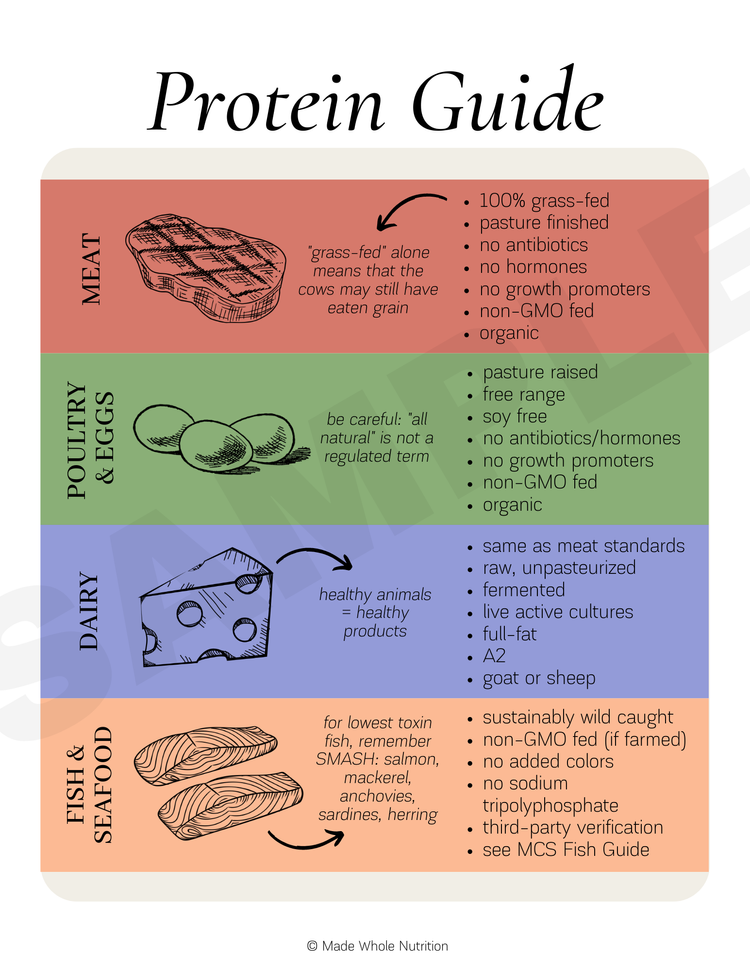 Common Food Additives Handout — Functional Health Research + Resources ...