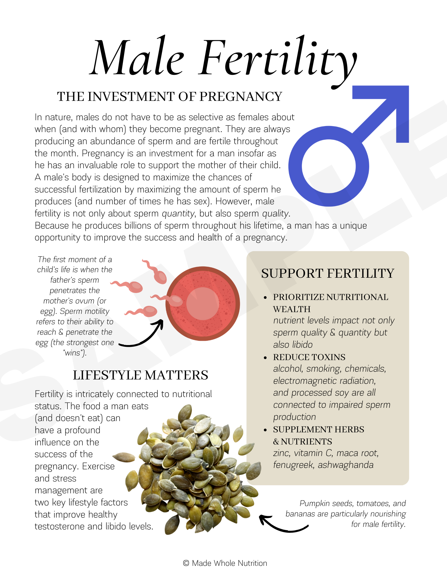 Prenatal Health (handout bundle) — Functional Health Research + Resources — Made Whole Nutrition