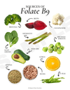 Sources of Folate B9 — Functional Health Research + Resources — Made ...