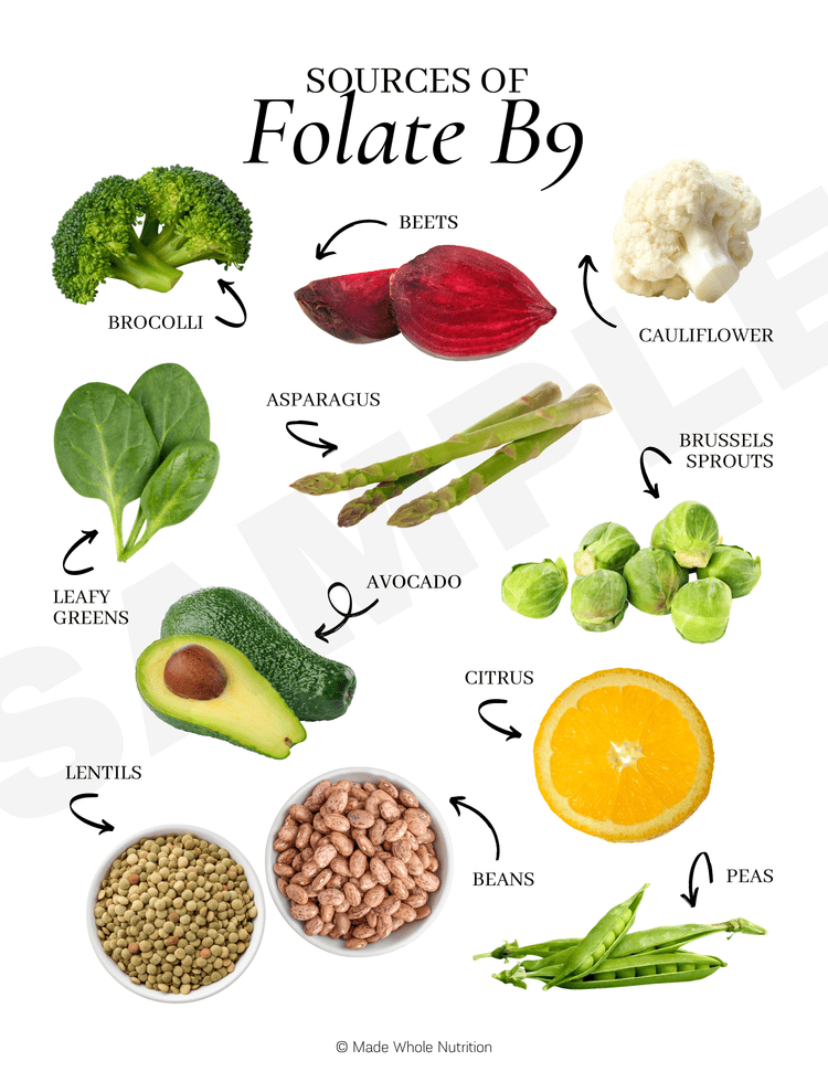 Sources of Folate B9 — Functional Health Research + Resources — Made ...